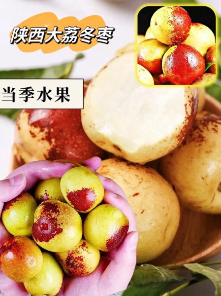 大荔冬枣的营养价值_大荔冬枣的功效与作用有哪些-第2张图片-山城妙识