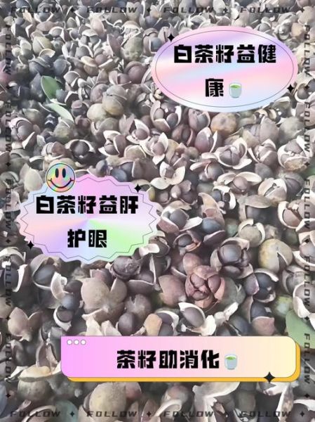 茶籽的功效与作用_茶籽怎么食用-第1张图片-山城妙识