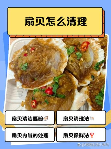 扇贝怎么清洗_清洗扇贝内脏的方法-第2张图片-山城妙识