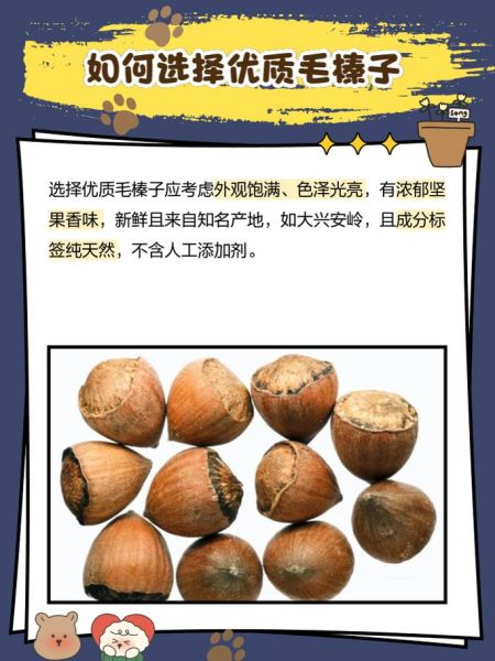 毛榛子图片_毛榛子长什么样-第1张图片-山城妙识