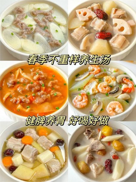 春季养生汤怎么做_春季养生汤做法大全-第2张图片-山城妙识