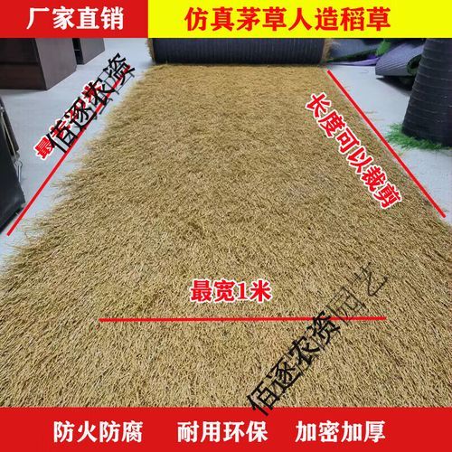 茅草屋顶多少钱一平_茅草屋顶能用多久-第2张图片-山城妙识