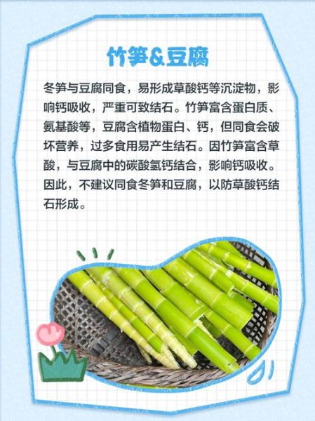 吃冬笋的禁忌_哪些人不能吃冬笋-第3张图片-山城妙识