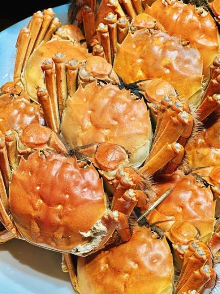 大闸蟹公母哪个蟹黄多_母蟹蟹黄真的更多吗-第3张图片-山城妙识