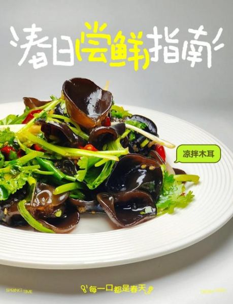 凉拌木耳不能和什么一起吃_什么人不能吃凉拌木耳-第3张图片-山城妙识