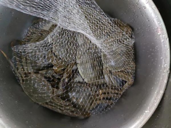 蟹黄苦怎么回事_蟹黄发苦还能吃吗-第3张图片-山城妙识