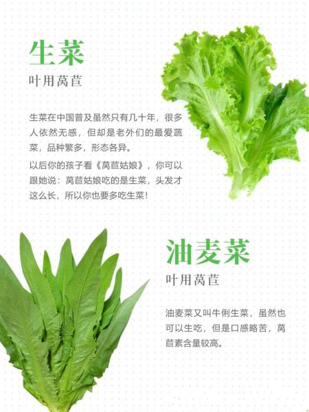 莴苣和生菜的区别_莴苣和生菜哪个更营养-第1张图片-山城妙识