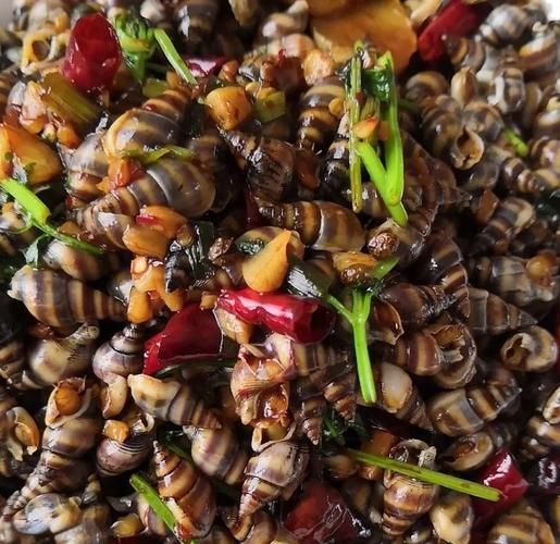 海螺怎么做好吃_海螺的做法大全家常-第1张图片-山城妙识 海螺怎么做好吃_海螺的做法大全家常-第1张图片-山城妙识