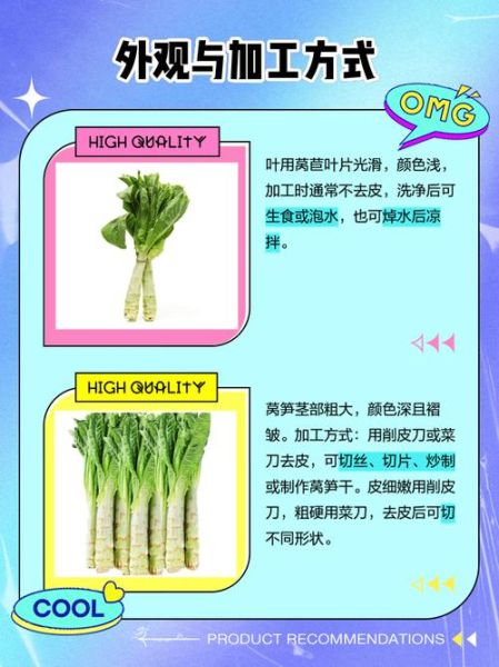 莴苣和生菜的区别_莴苣和生菜哪个更营养-第3张图片-山城妙识