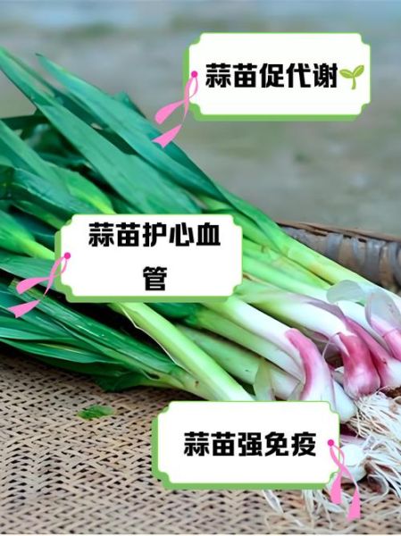 生吃蒜苗有什么好处_生吃蒜苗会上火吗-第1张图片-山城妙识