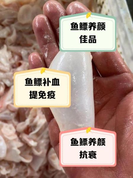 鱼鳔对鱼的作用_鱼鳔如何帮助鱼上浮下沉-第2张图片-山城妙识