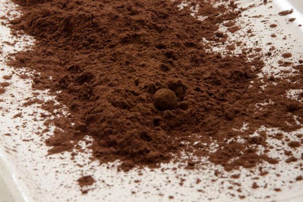 碱化可可粉好不好_碱化可可粉有营养吗-第3张图片-山城妙识