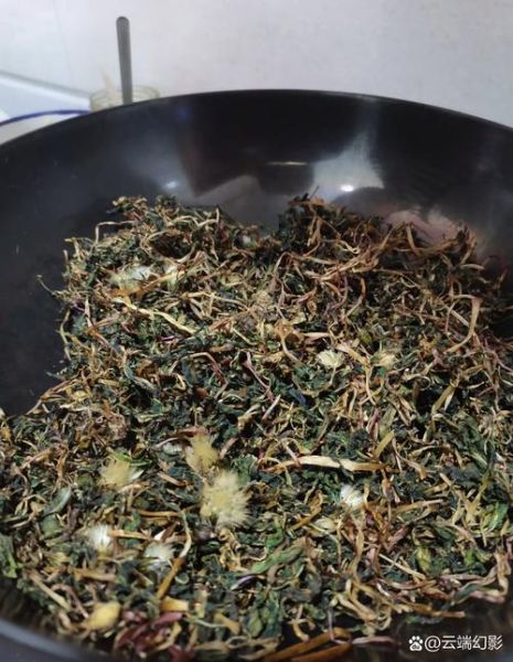 蒲公英煮水对乳腺结节有用吗_半年真实体验-第3张图片-山城妙识 蒲公英煮水对乳腺结节有用吗_半年真实体验-第3张图片-山城妙识