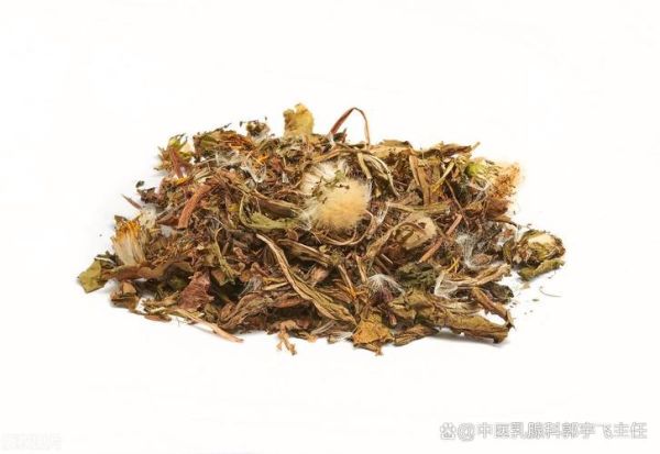 蒲公英煮水对乳腺结节有用吗_半年真实体验-第2张图片-山城妙识 蒲公英煮水对乳腺结节有用吗_半年真实体验-第2张图片-山城妙识