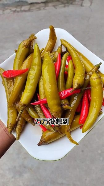 自制泡椒怎么做_泡椒保存多久-第2张图片-山城妙识