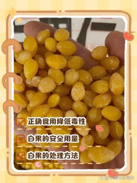 吃白果会致癌吗_白果与癌细胞关系真相-第1张图片-山城妙识