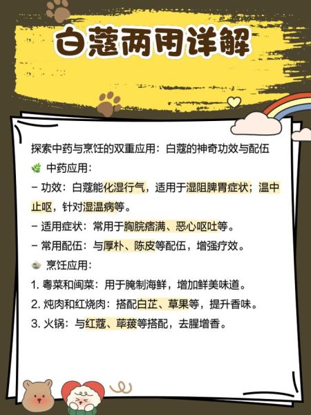 白蔻香料作用_白蔻在卤水中的用量是多少-第1张图片-山城妙识