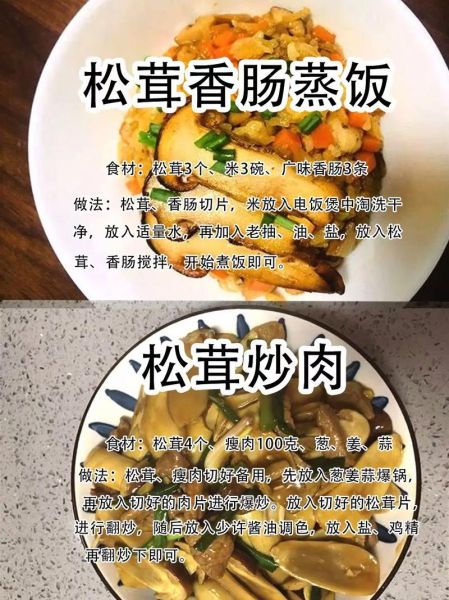 干松茸怎么吃最好_干松茸泡发窍门-第2张图片-山城妙识