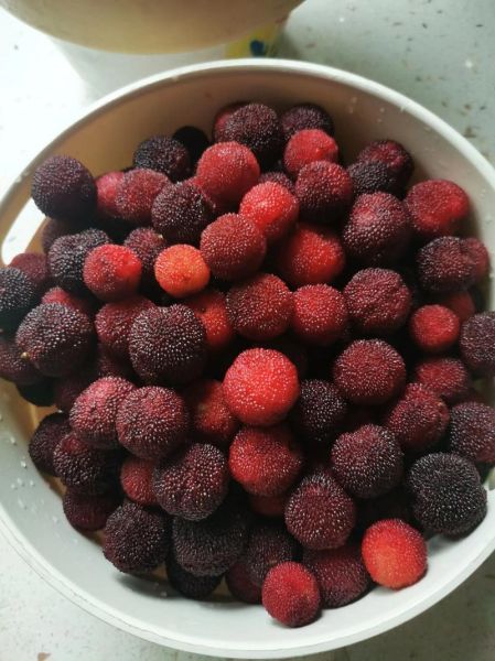 杨梅干怎么做_传统杨梅干制作方法-第2张图片-山城妙识