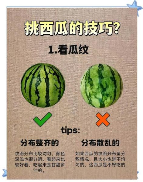 怎样挑选西瓜最甜_西瓜怎么选才甜-第2张图片-山城妙识