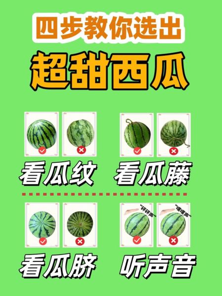 怎样挑选西瓜最甜_西瓜怎么选才甜-第1张图片-山城妙识