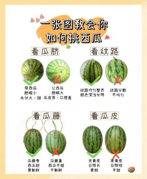 怎样挑选西瓜最甜_西瓜怎么选才甜-第3张图片-山城妙识