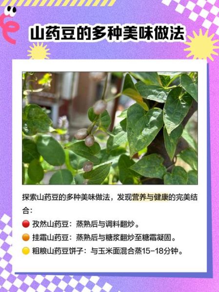 山药豆怎么做好吃_山药豆的功效与作用-第1张图片-山城妙识 山药豆怎么做好吃_山药豆的功效与作用-第1张图片-山城妙识