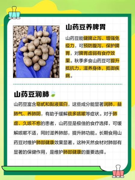 山药豆怎么做好吃_山药豆的功效与作用-第2张图片-山城妙识 山药豆怎么做好吃_山药豆的功效与作用-第2张图片-山城妙识