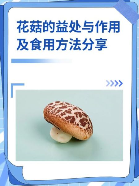 花菇怎么泡发_花菇的家常做法大全-第3张图片-山城妙识