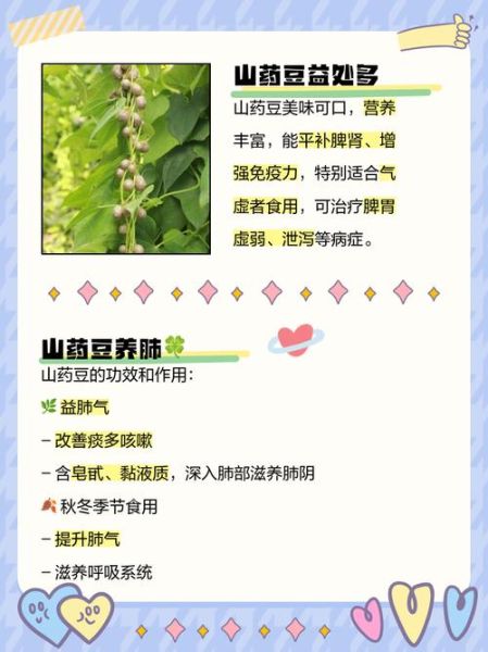 山药豆怎么做好吃_山药豆的功效与作用-第3张图片-山城妙识 山药豆怎么做好吃_山药豆的功效与作用-第3张图片-山城妙识
