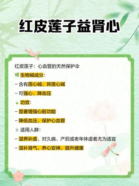 红莲子怎么吃_红莲子的正确吃法-第1张图片-山城妙识 红莲子怎么吃_红莲子的正确吃法-第1张图片-山城妙识