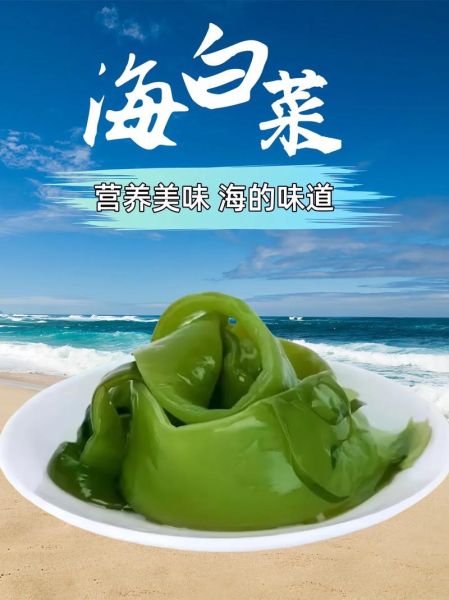 海白菜咸菜怎么保存_海白菜咸菜的做法-第1张图片-山城妙识
