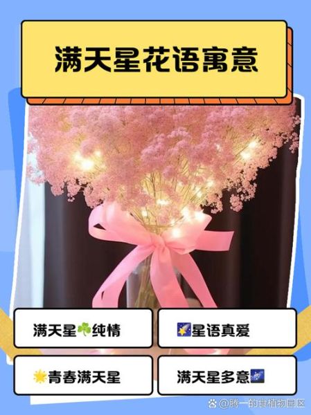粉色满天星花语是什么_适合送哪些人-第1张图片-山城妙识