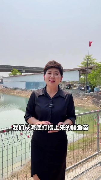 鳝鱼苗怎么挑选_鳝鱼苗养殖技术视频-第1张图片-山城妙识