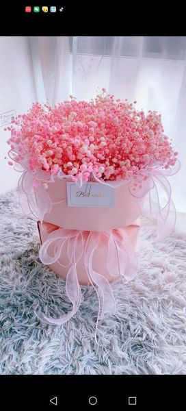 粉色满天星花语是什么_适合送哪些人-第2张图片-山城妙识