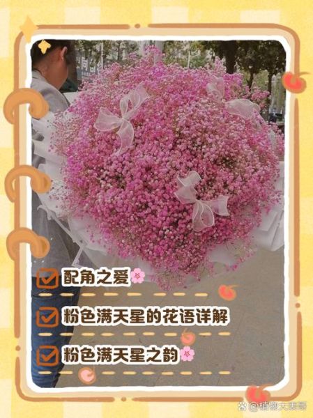 粉色满天星花语是什么_适合送哪些人-第3张图片-山城妙识