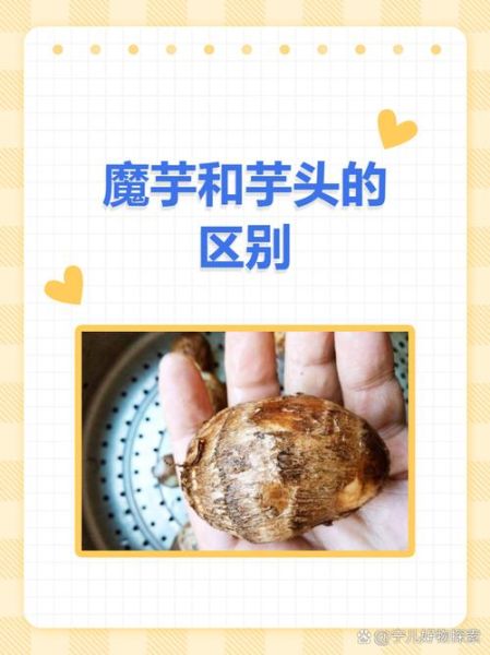 香芋和芋头的区别_香芋和芋头哪个更好吃-第1张图片-山城妙识