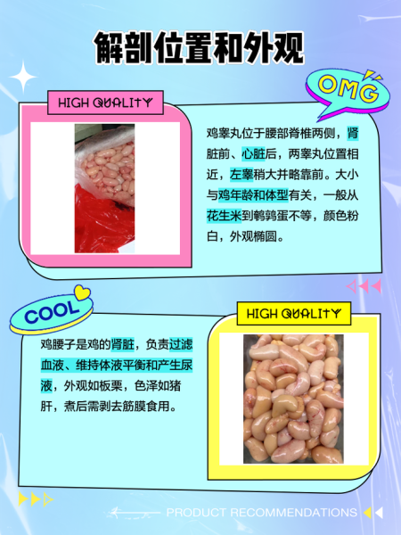 鸡睾丸和鸡肾的区别图_哪个部位更补-第1张图片-山城妙识