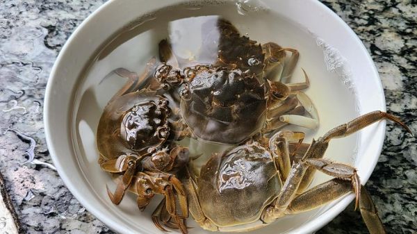 如何清洗螃蟹_螃蟹清洗步骤-第3张图片-山城妙识