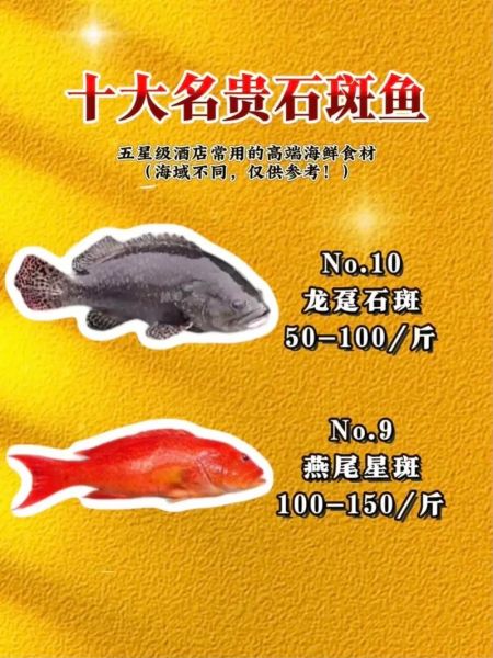 石斑鱼有毒吗_市场上卖的石斑鱼安全吗-第1张图片-山城妙识