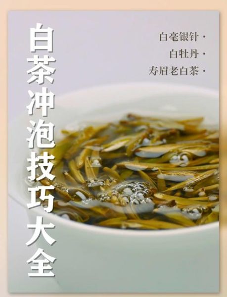 白茶怎么泡才正确_白茶冲泡水温多少度-第1张图片-山城妙识 白茶怎么泡才正确_白茶冲泡水温多少度-第1张图片-山城妙识