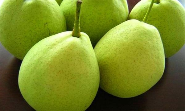 pear怎么发音_pear的音标是什么-第3张图片-山城妙识