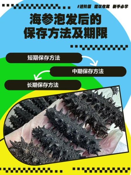 海参泡发后冷冻可以放多久_冷冻保存海参的正确方法-第2张图片-山城妙识