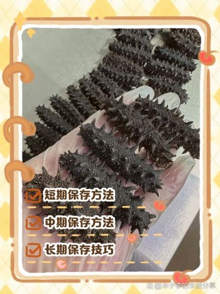 海参泡发后冷冻可以放多久_冷冻保存海参的正确方法-第3张图片-山城妙识