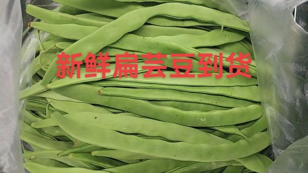 扁豆视频怎么下载_扁豆视频安全吗-第1张图片-山城妙识