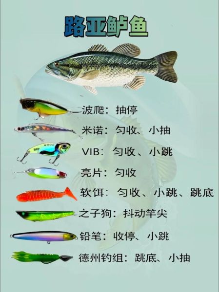 钓鲈鱼用什么饵_鲈鱼怎么钓才容易上钩-第1张图片-山城妙识