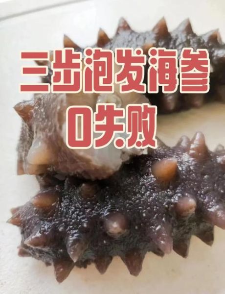 干海参怎么泡发_干海参怎么做才好吃-第3张图片-山城妙识