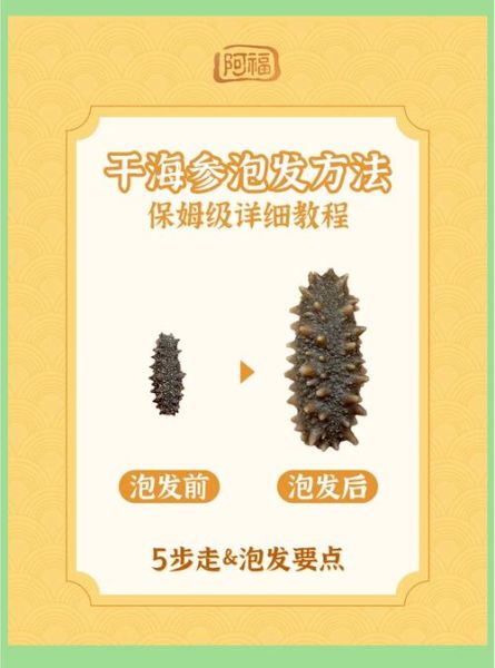 干海参怎么泡发_干海参怎么做才好吃-第2张图片-山城妙识