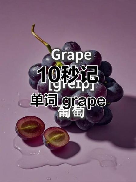 葡萄用英语怎么说_grape发音与用法详解-第2张图片-山城妙识 葡萄用英语怎么说_grape发音与用法详解-第2张图片-山城妙识