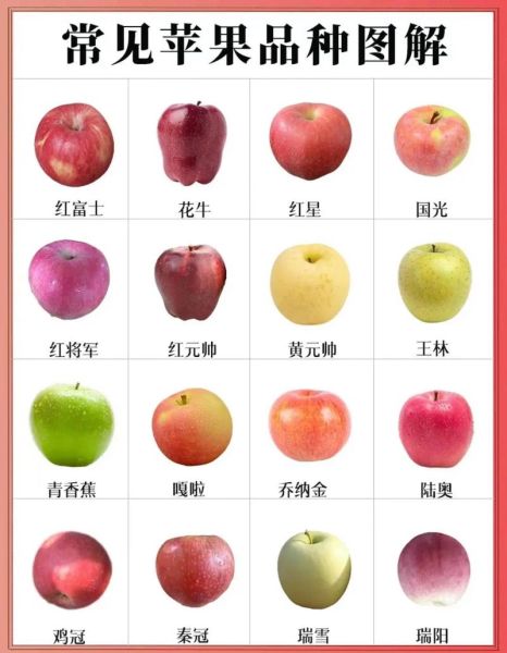 水果全部种类有哪些_常见水果分类大全-第3张图片-山城妙识 水果全部种类有哪些_常见水果分类大全-第3张图片-山城妙识